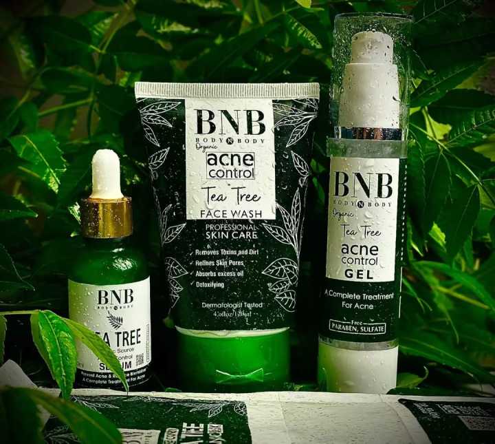 Tea Tree Acne Control Kit 4 in 1 Clear Heal and Protect for Face ...