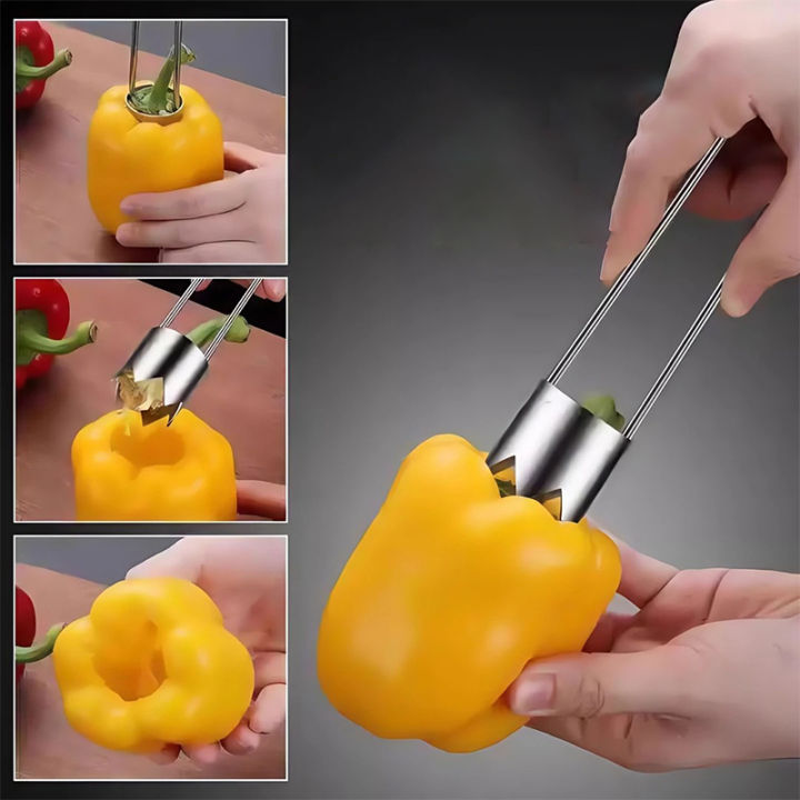 Stainless Steel Fruit Core Remover Apple Pear Bell Peppers Pitter ...