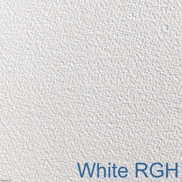 SAUNDERS WATERFORD White Rough Watercolor paper Sheet 4 Deckle Edges ...