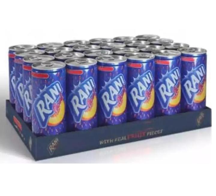 Rani Float Natural Peach Drink-240ml Pack of 24 | Daraz.pk