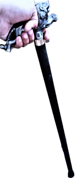 Lion Handle Shape handcraft walking stick | Daraz.pk