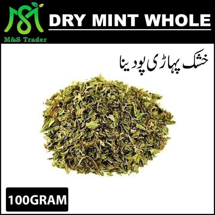 Pahari Podina Dry / Dried Wild Mint whole / Sookha Podina Leaves ...