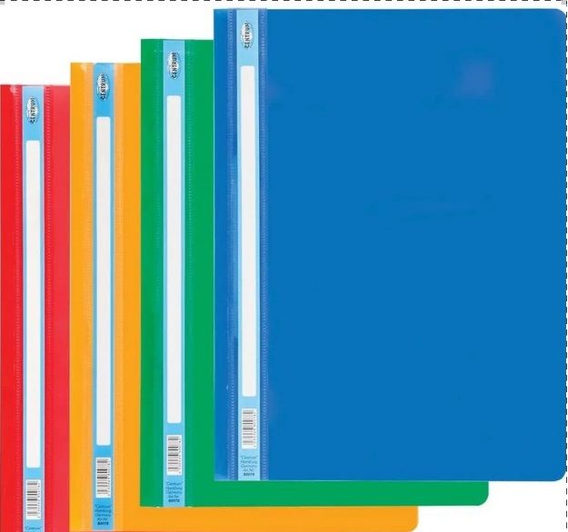 Pack of 5 Pcs Management Files A4 Size, Transparent with Colored ...