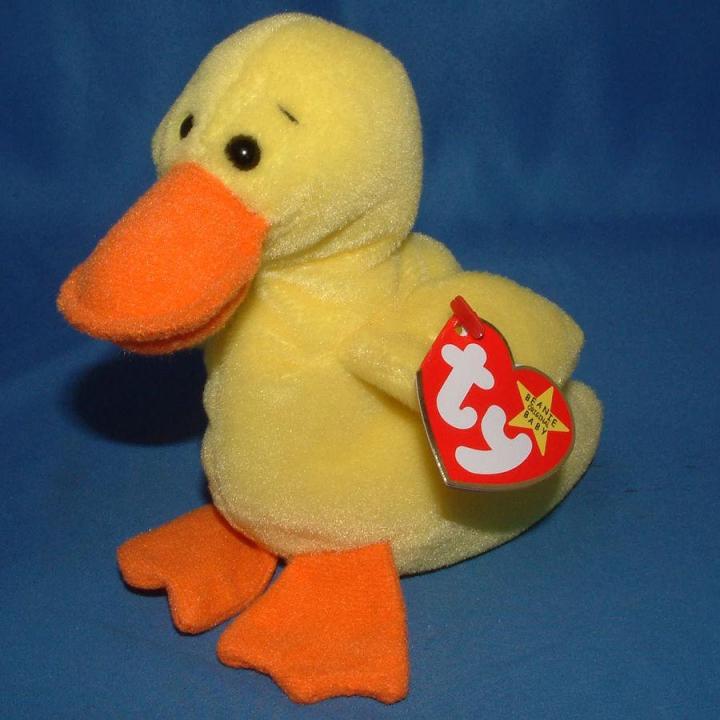 QUACKERS | Daraz.pk: Buy Online at Best Prices in Pakistan | Daraz.pk