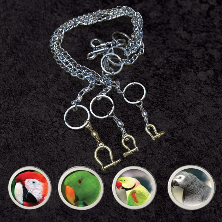 Parrot Leashes Foot Chain, Stainless Steel chain Anti-bite Flying ...