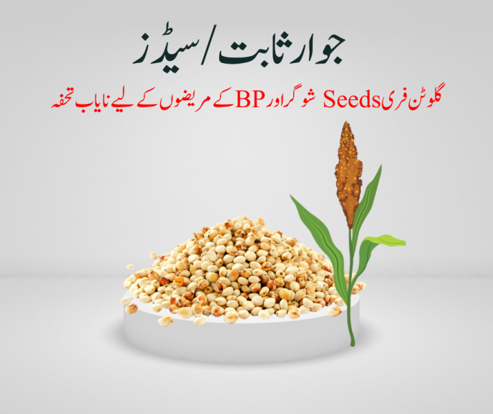 jawar seeds 0.5 kg | White Sorghum Seeds - Gluten-Free Breakfast Cereal | Nutrient-Rich Jowar ...