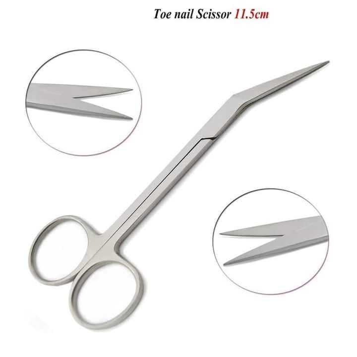 Premium Iris Angular Scissors – 11.5 cm Stainless Steel Tissue, Gum ...