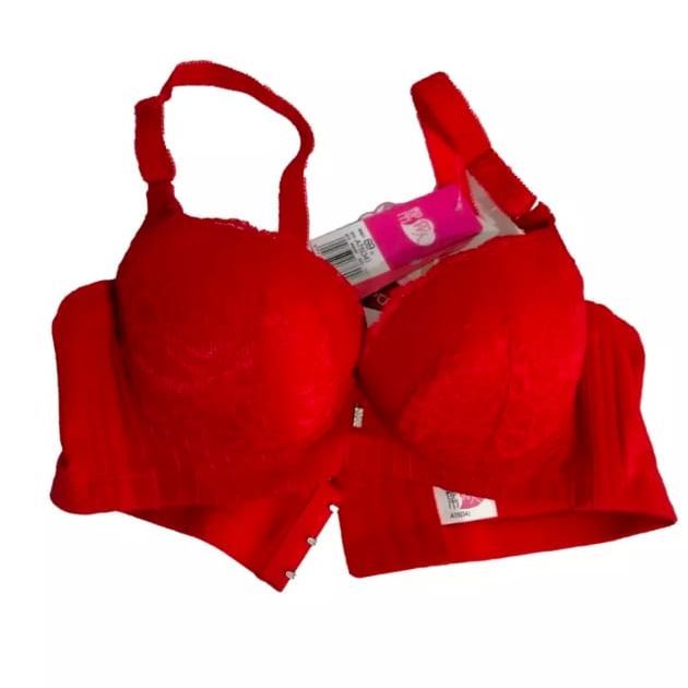 Bra Panty New Design Ladies Net Bra Sets Underwear and Bra Set | Daraz.pk