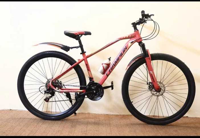 Champion Premium Quality 29 Inches Cycle for Adults Road Bike | Daraz.pk