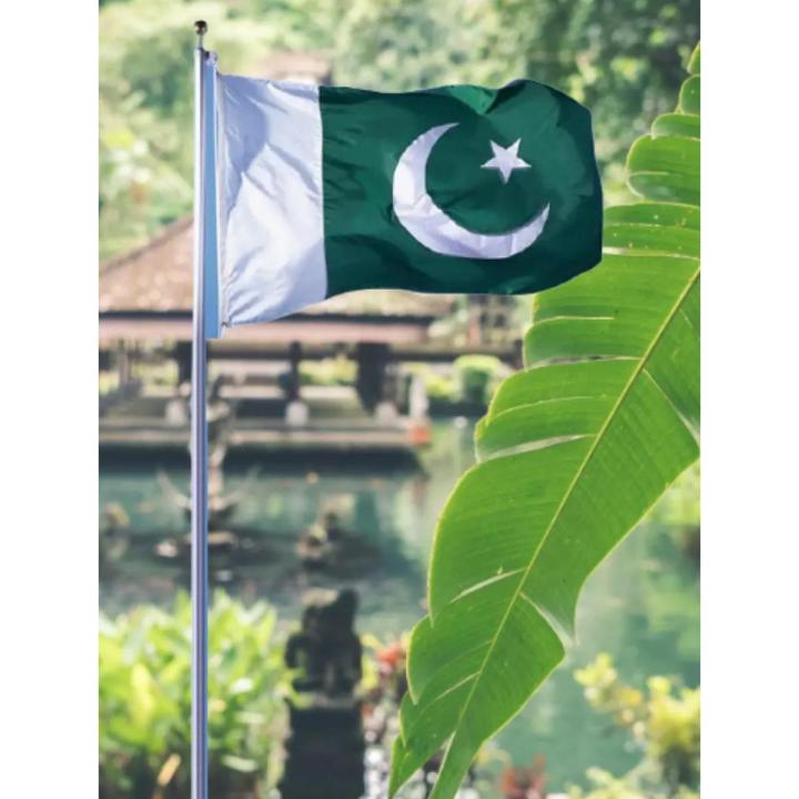 Pakistani Flag Pakistan independence day Flag medium size flag | Daraz.pk
