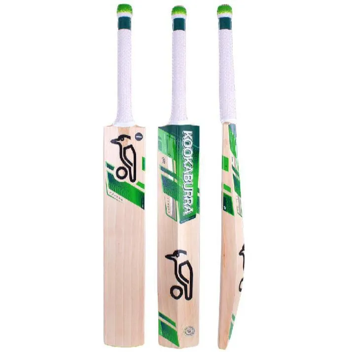 New DSC Player Latest Edition Cricket Hard Ball Bat | 2025 Best Quality ...