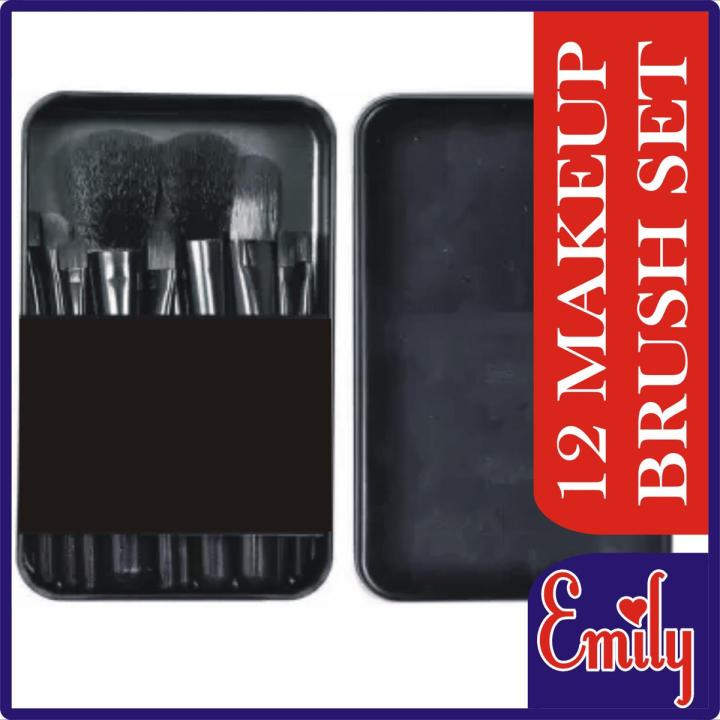 Emily High Quality Makeup Brush Set 12 Pcs Make up Brush Set in Steel ...