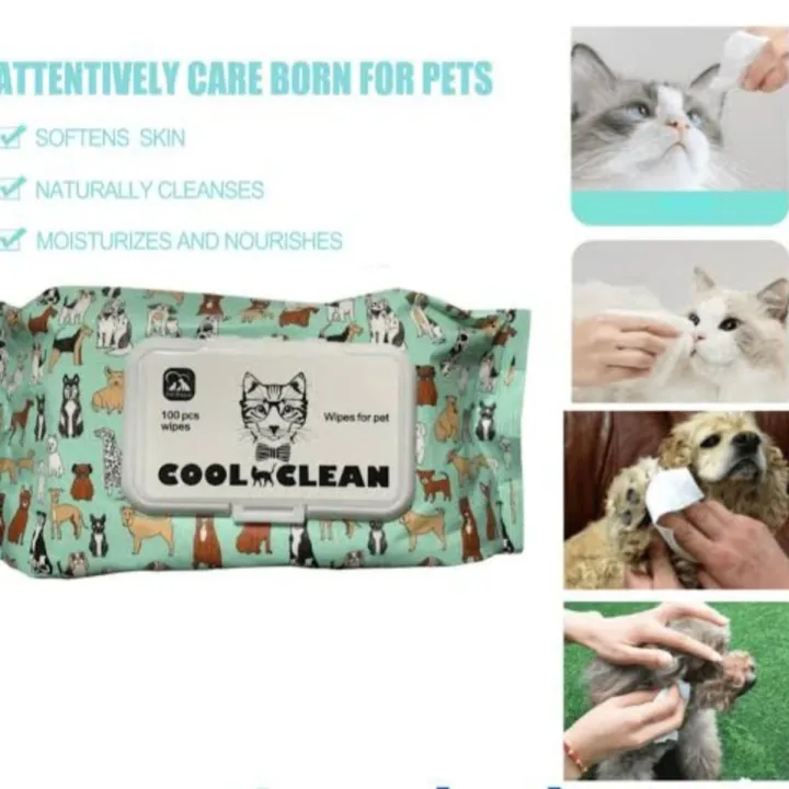 Cat/Dog Cleaning Wipes (100 Pieces) | Daraz.pk