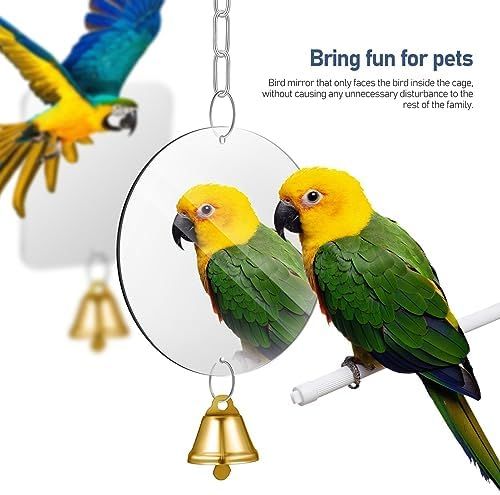 UK bird toys Bird Toys for Cage Small Bird Toys Round Swing Bird Swings ...
