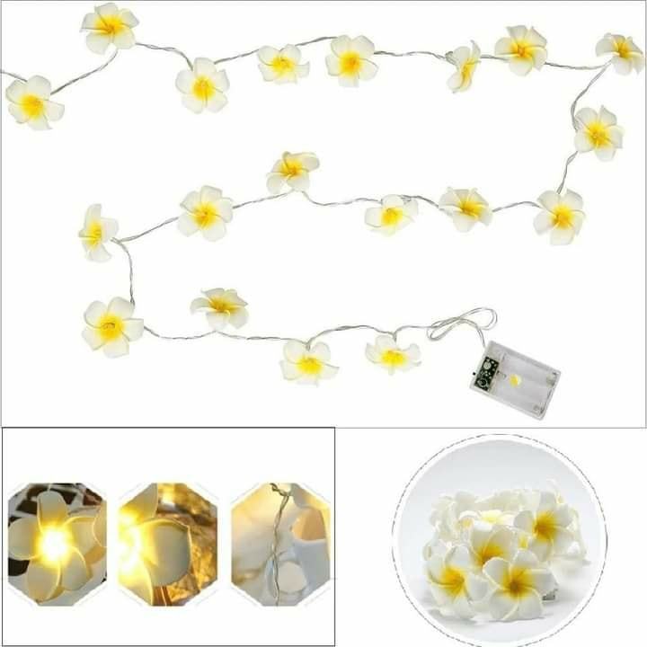 flower light | Daraz.pk: Buy Online at Best Prices in Pakistan | Daraz.pk
