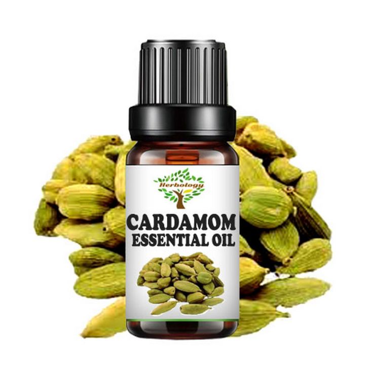 Herbology Cardamom Essential Oil 100% Pure Therapeutic Grade, Steam ...