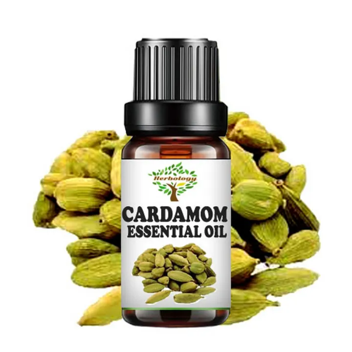 Herbology Cardamom Essential Oil 100% Pure Therapeutic Grade, Steam ...