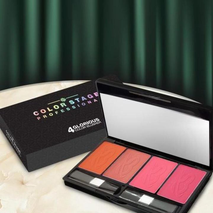 Color Stage Color Blush On Palette 4 Colors Effect With 2 Brushes ...