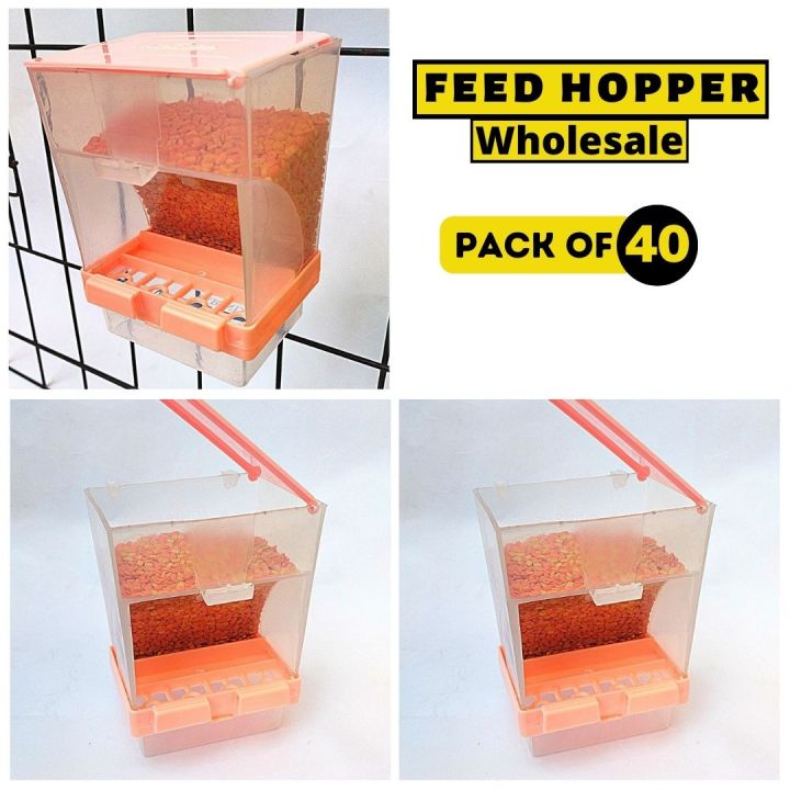 Feed hopper of Small birds | Love birds, Budges, Fiches, Pack of 40 ...