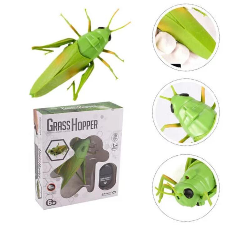 Smart Infrared RC Grasshopper Animal Insect Toy | Daraz.pk