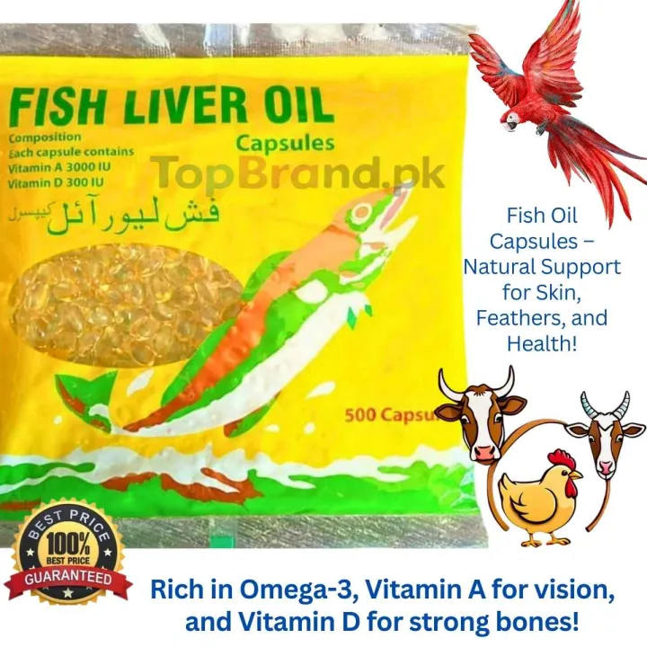 Fish Oil Capsules - 500 Capsules – Packed with vit - Vitamin A & D for ...