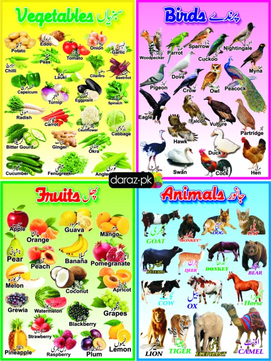 4 Educational Classroom Poster Panaflex Home School Decoration 103 ...