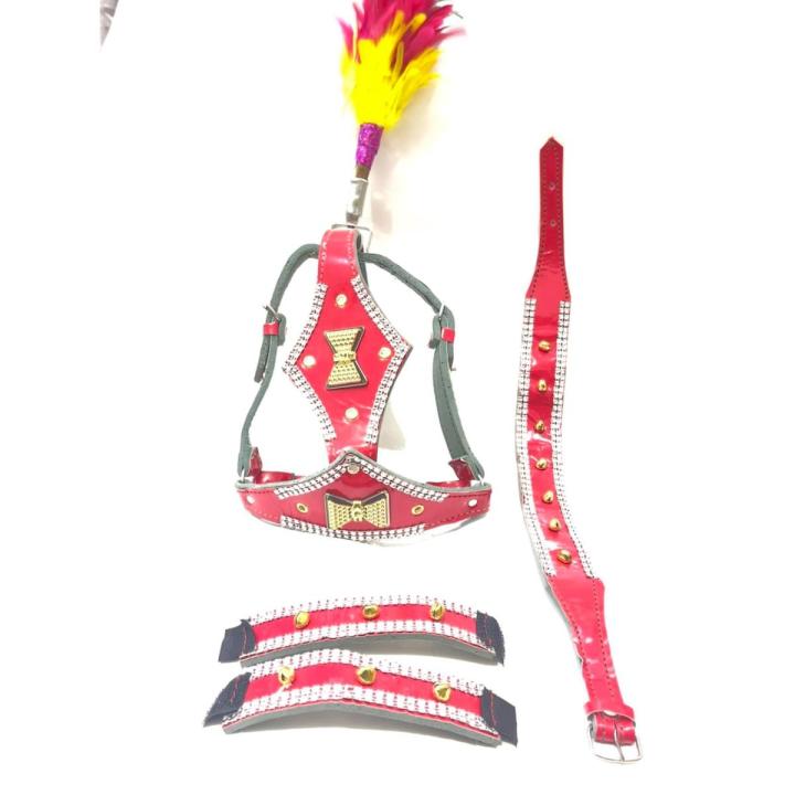 Qurbani Goat Halter + Neck Collar (Fancy ) | Daraz.pk