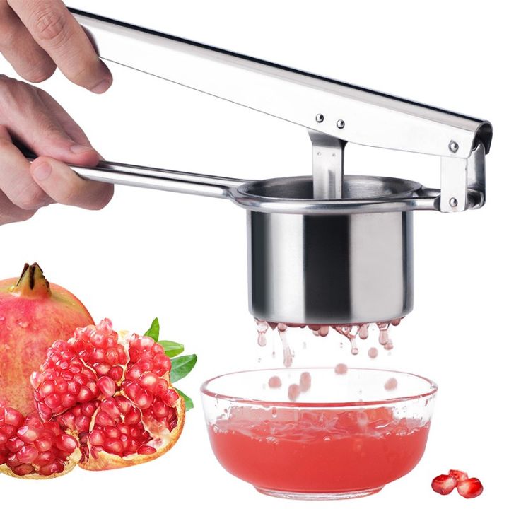 Stainless Steel Fruit Juice Extractor, Evenly Distributed Mesh ...