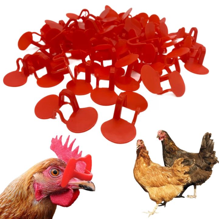 Chicken Eye Blinder Glasses Large Pack Of 10 By Ks Pets Care | Daraz.pk