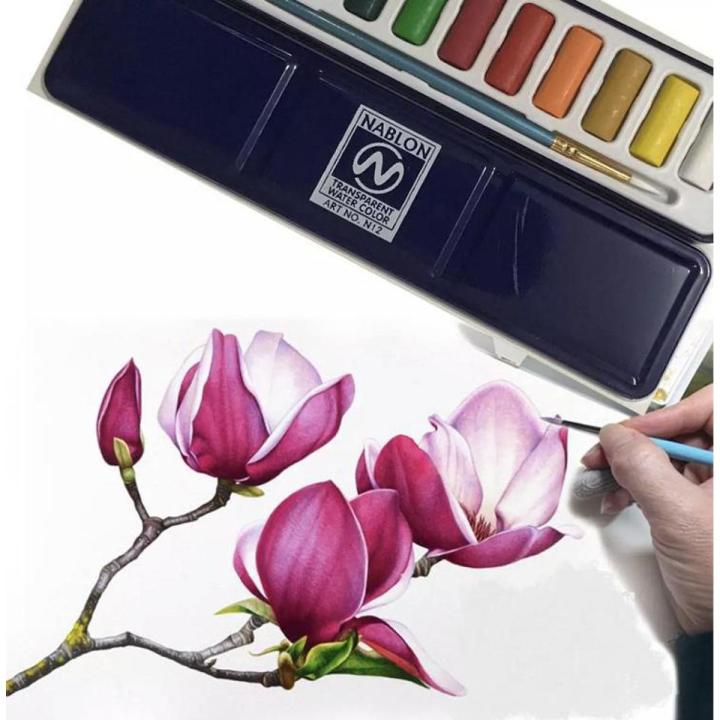 Nablon Transparent Water Color Set of 12 | Daraz.pk