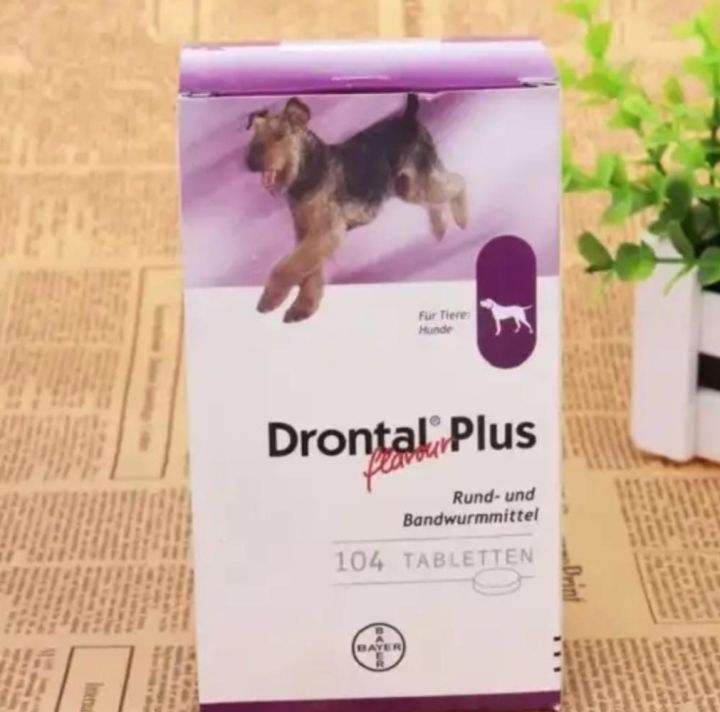 Drontal Plus Dog Deworming Tablet- 1 Tablet | Daraz.pk