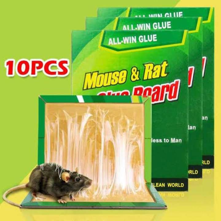 PACK OF 10 - Mouse Rat Glue Traps, New Version Strongly Adhesive, Mouse ...