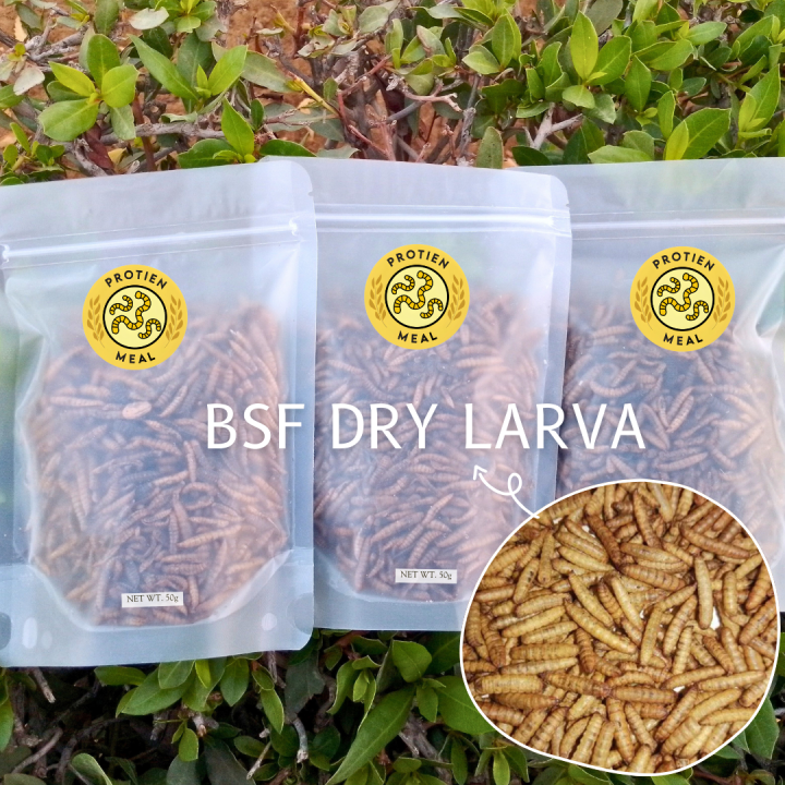 BSF Dry Worms Larva 50gm – High-Protein Food for Finches, Hens, Birds ...
