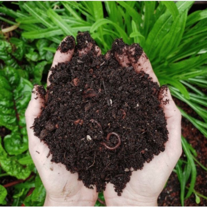 Organic Fertilizer for Plants podoon k liye behtreen khad by LCOFs ...