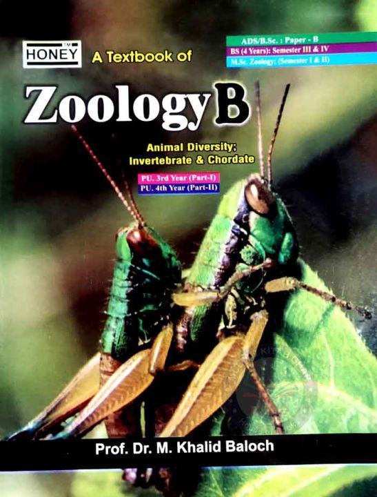 Honey A Textbook of Zoology Paper B Animal Diversity Invertebrate and ...