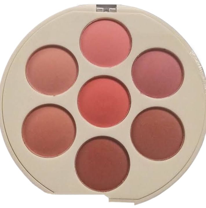 Blusher And Highlighter kit Nude Shade - 7 in 1 Palette - Professional ...
