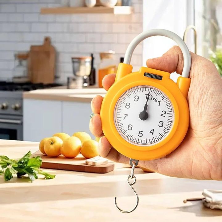 Hanging Weight Scale 10kg Spring Weight Scale Spring Balance Hook Scale ...