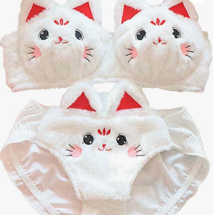 Bra for Girls and Women Fluffy Cat Bra & Panty Set – Cute Furry Kitty ...