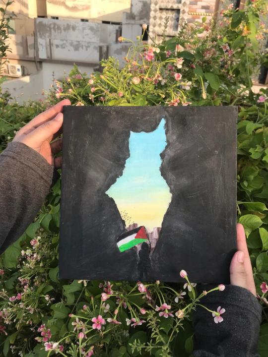 Palestine painting on canvas | Daraz.pk