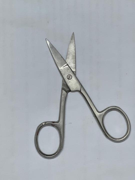 2.5-Inch Small Stainless Steel Scissors | Compact Precision Cutting ...