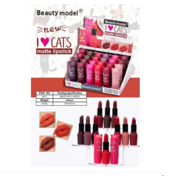 Beauty Model Matte Lipstick Box - Set of 24 Vibrant Shades | Daraz.pk