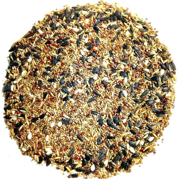 11 Types of Seed Mix Natural & Healthy Premium Birds Food For All ...