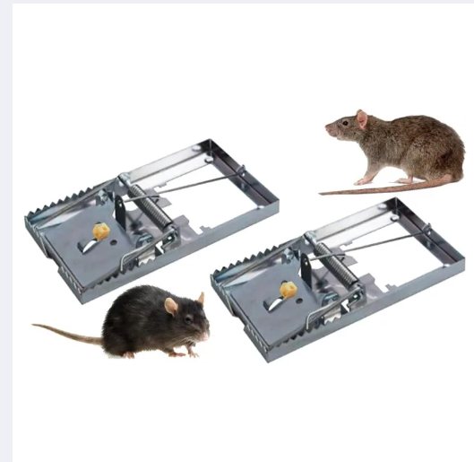 Large Heavy Duty Rat Catching Metal Traps | Rat Trap | Kariki | Mouse ...