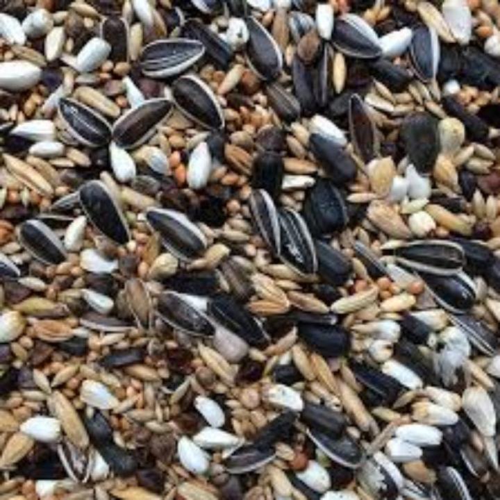Mixed bird food Feed seeds with nuts 750 gm | Daraz.pk