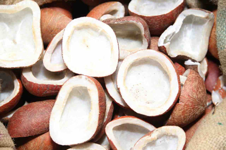 Coconut (Narial) Best Quality 1 kg | Daraz.pk