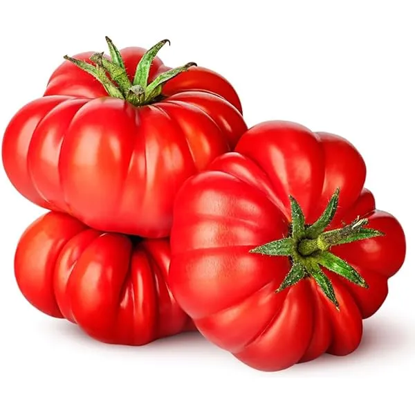 Watermelom Beefsteak Tomato Prime F1 Hybrid | Daraz.pk
