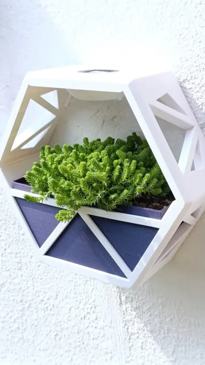 Hexagonal Wall Planter – Modern Geometric Wall-Mounted Plant Pot ...