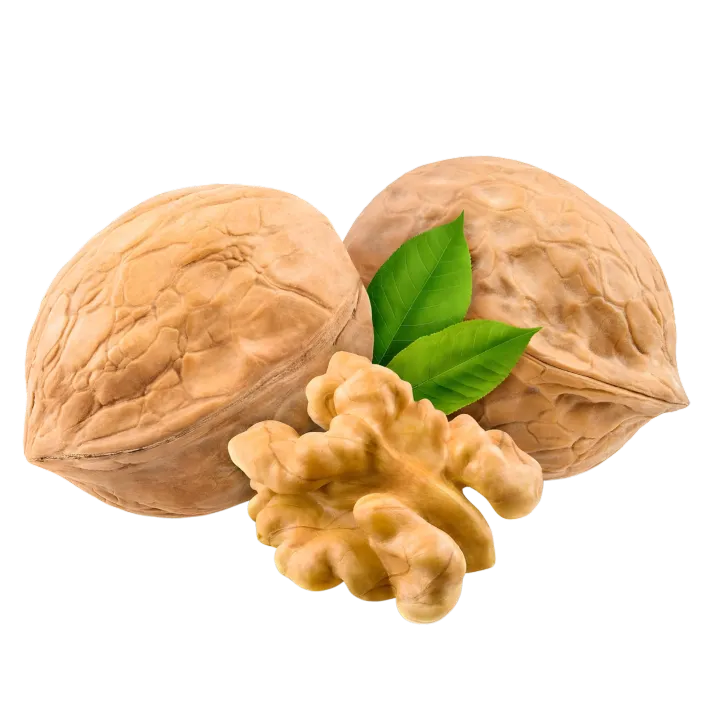 Fresh Kashmiri Walnuts 2 Kg | Chitrali Akhrot | AKHROT | FRESH WALNUT ...