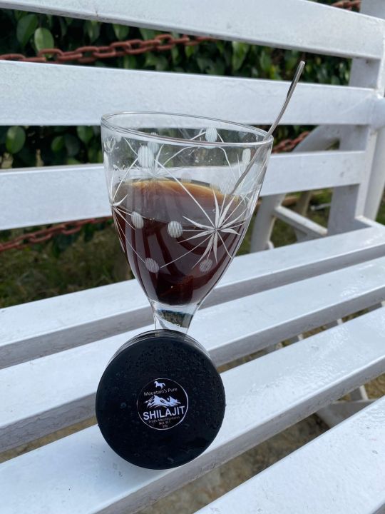 Gilgit Silajit / Shilajit Original & Pure (10g) | Daraz.pk