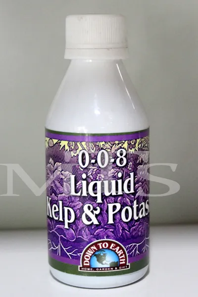 Hydrogen Peroxide 100 ml (USA IMPORTED) ANTI FUNGUS FOR PLANTS | Daraz.pk